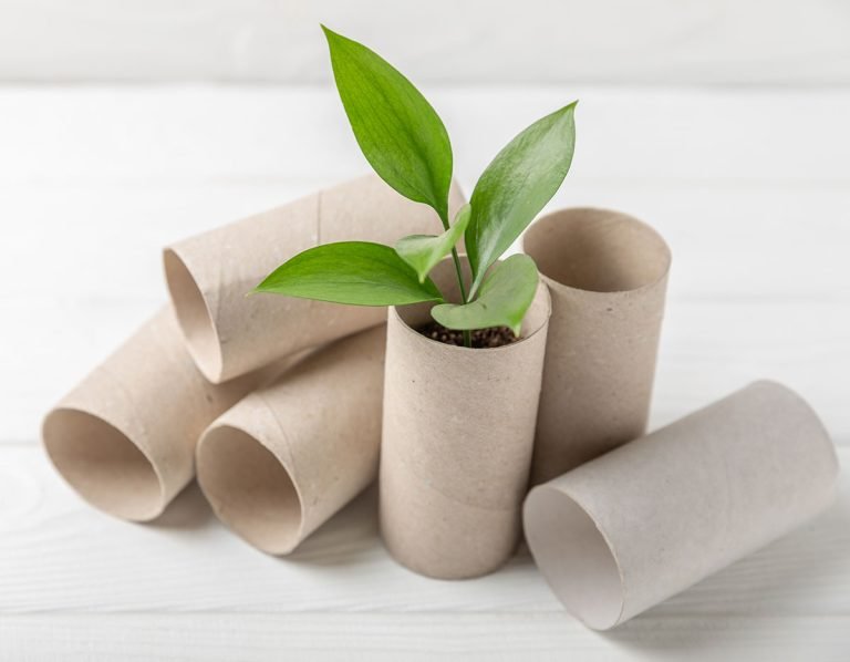 Beverage Packaging Innovations | Labels, Textile-Based Packaging Solutions